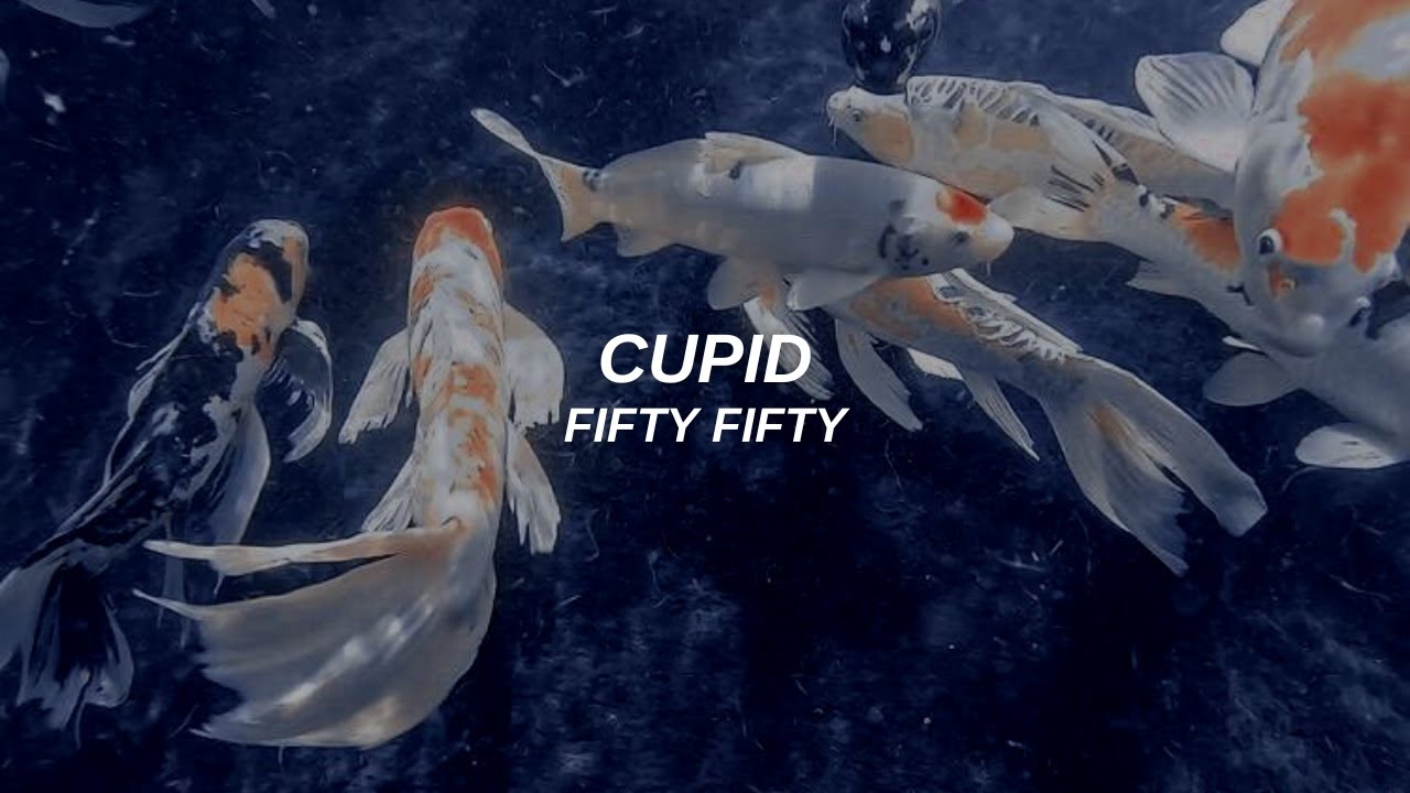 cupid- fifty fifty // lyrics (twin• sped up version) - YouTube