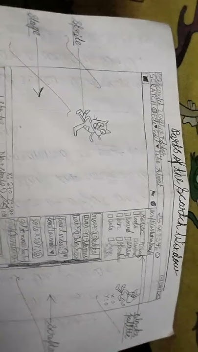 Parts Of The Scratch Window - YouTube