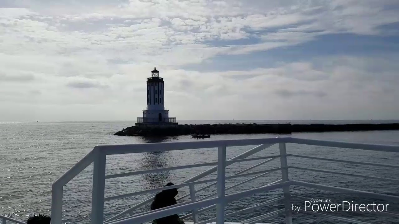 WHALE WATCHING FAIL :( - YouTube
