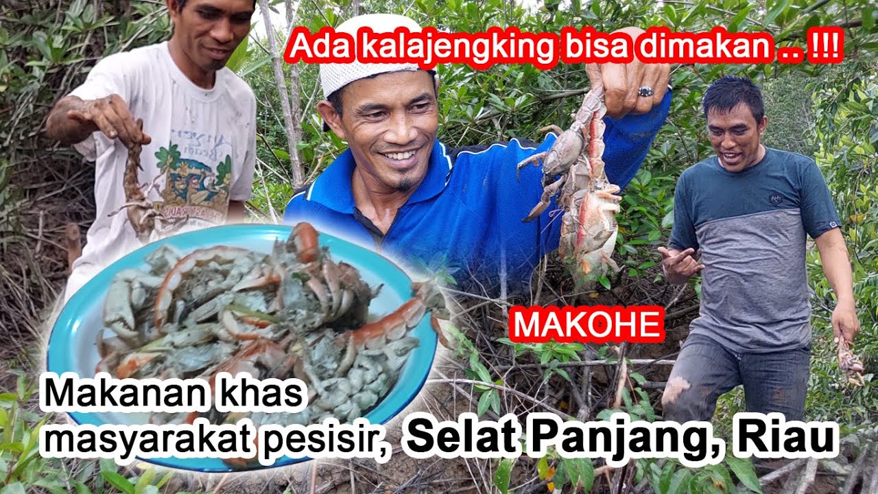 Perjalan Berburu Kalajengking Laut - Makanan Khas Masyarakat Pesisir di ...