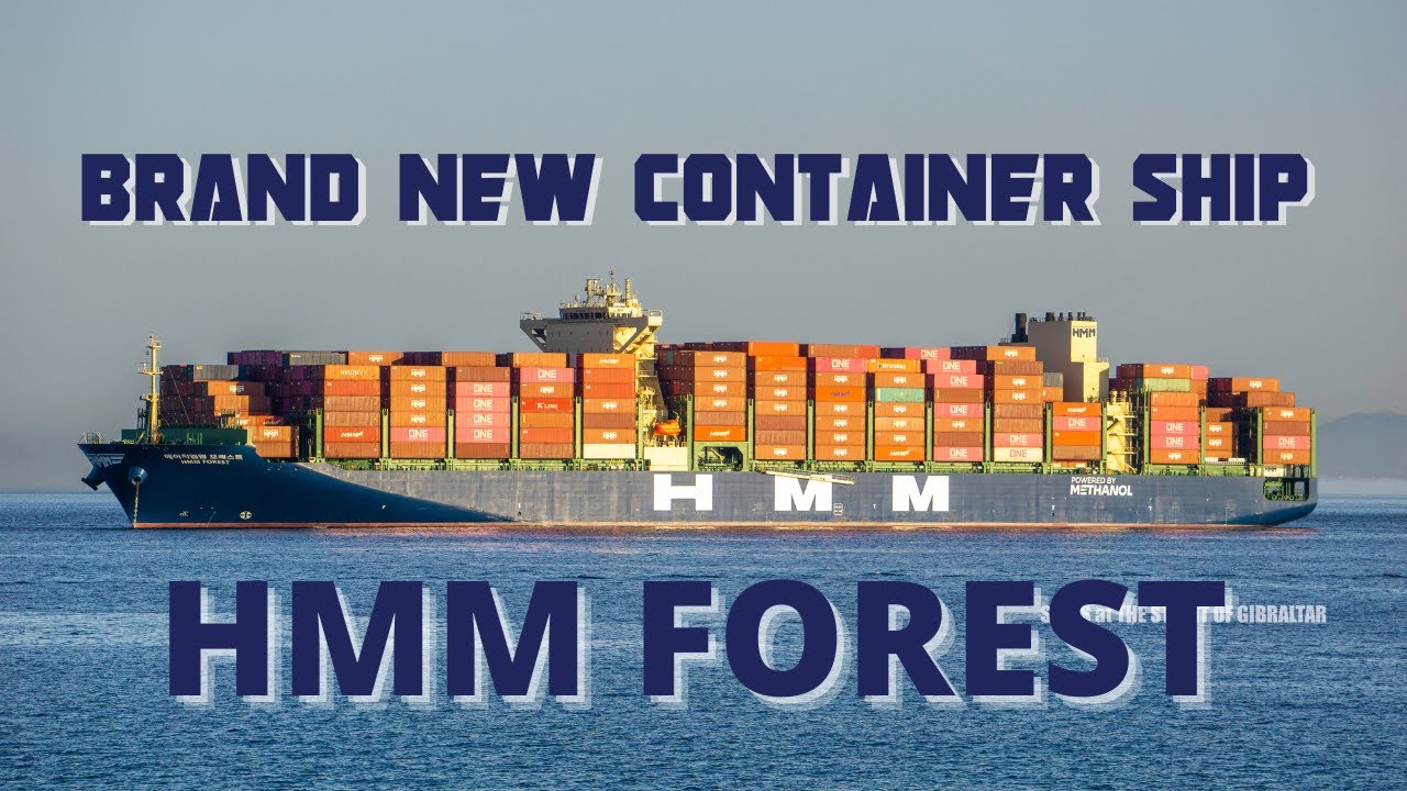 HMM FOREST New 2025 Container Ship, Anchored at Algeciras Spain 01 July ...