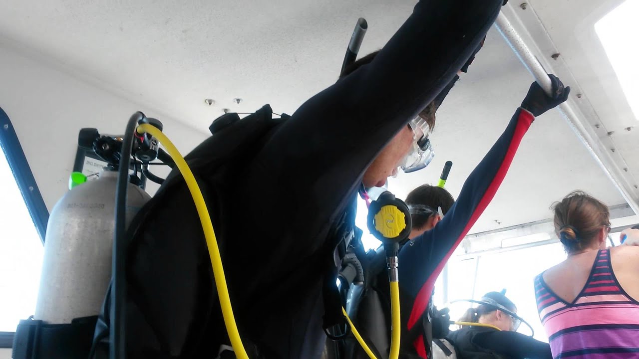 2014 Scuba with Ava and New Friends - YouTube