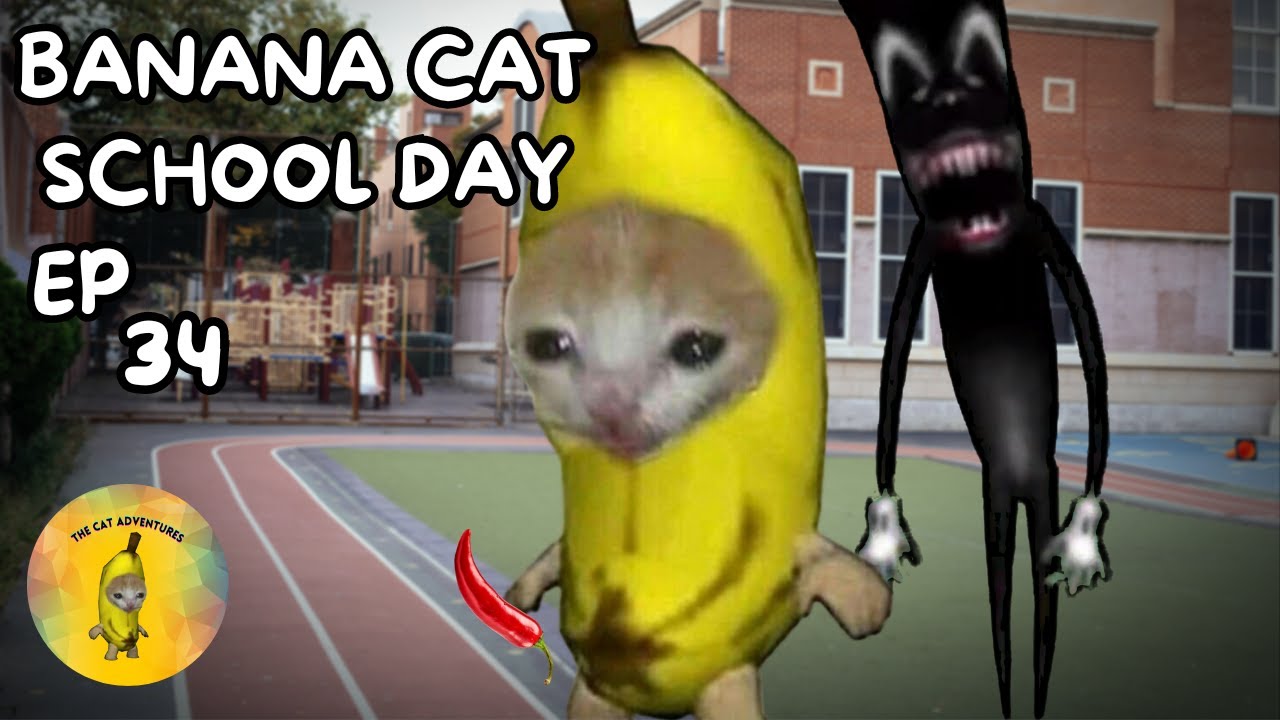Banana Cat And Happy Cat School Day Part 34 Vs Cartoon Cat - YouTube