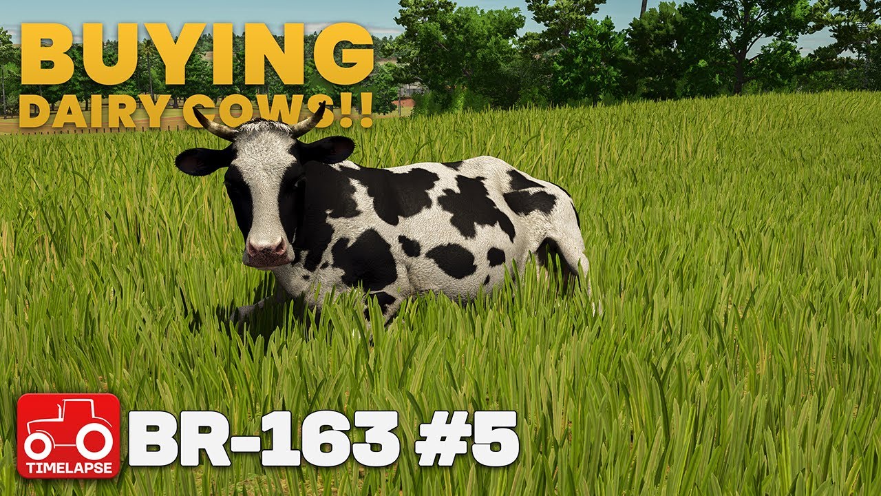 BUILDING A COW PASTURE & BUYING DAIRY COWS!! BR 163 FS25 Timelapse ...
