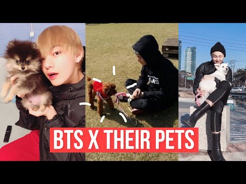 bts x their pets