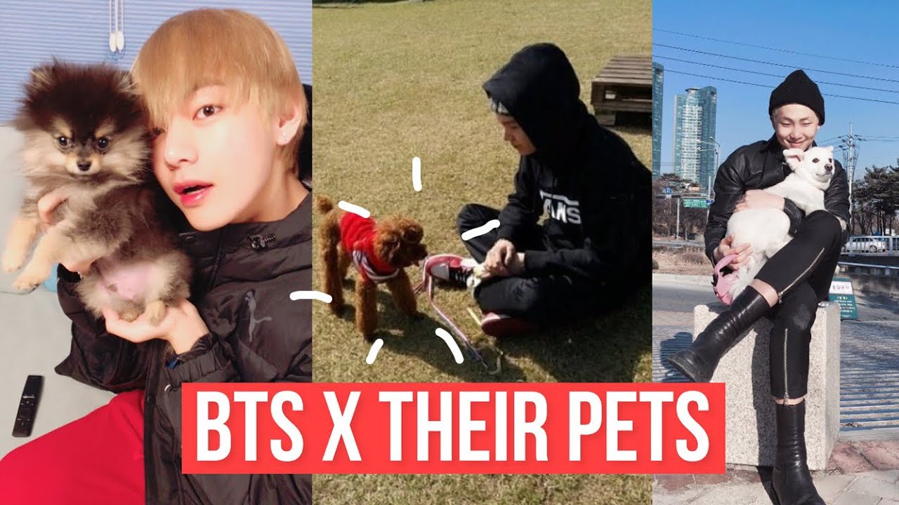 bts x their pets - YouTube