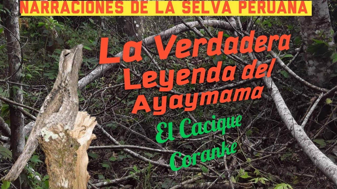 Cuentos de la Selva LA VERDADERA LEYENDA DEL AYAYMAMA - YouTube