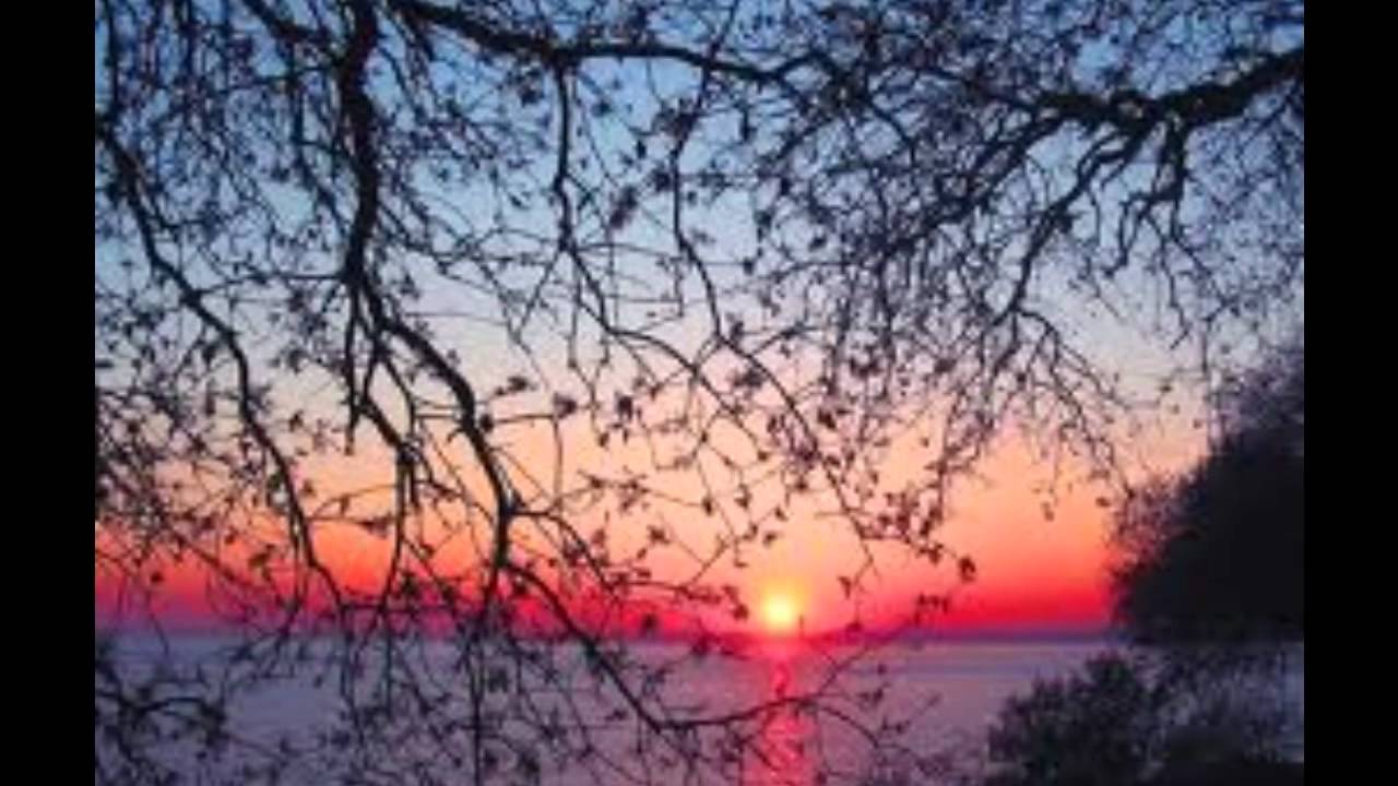 εγω ειμαι ενα παλιοπαιδο γαβαλας πανος - YouTube