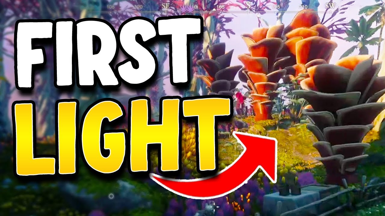 NEW First Light Looks AMAZING - New World PTR - YouTube