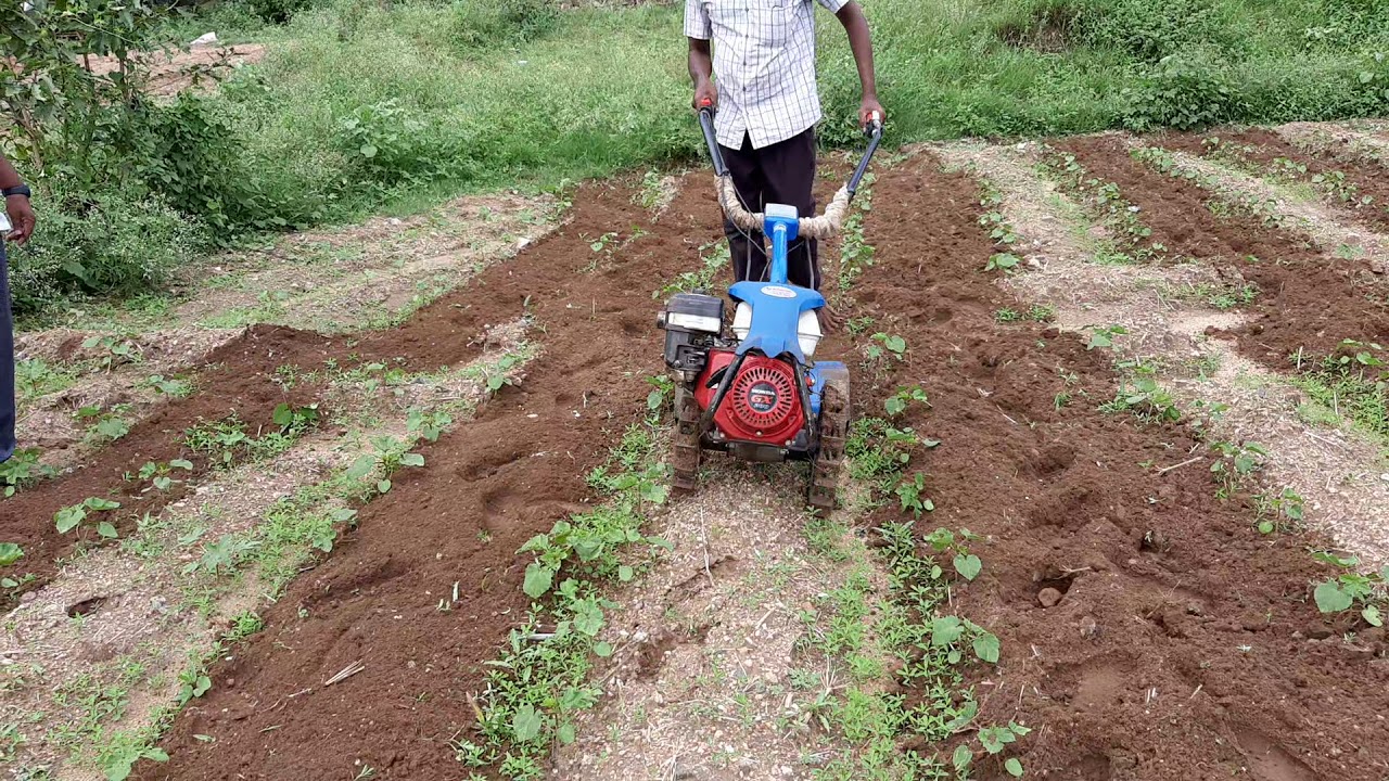 AutofarmPower Weeder PTV55G (Ladies Finger Field) - 9626883388 - YouTube