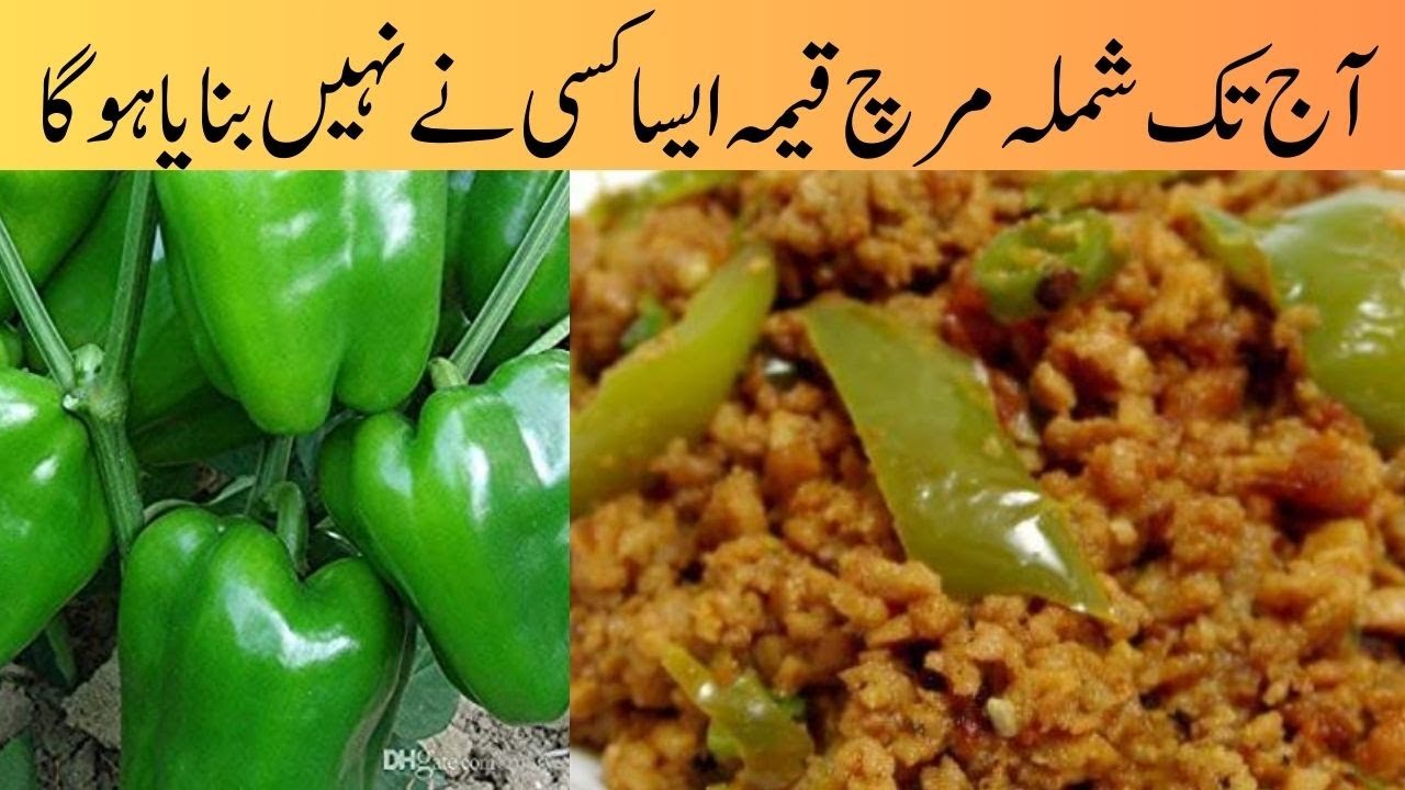Keema Shimla Mirch | Shimla Mirch Vegetable | Mutton Keema Ki Recipe ...