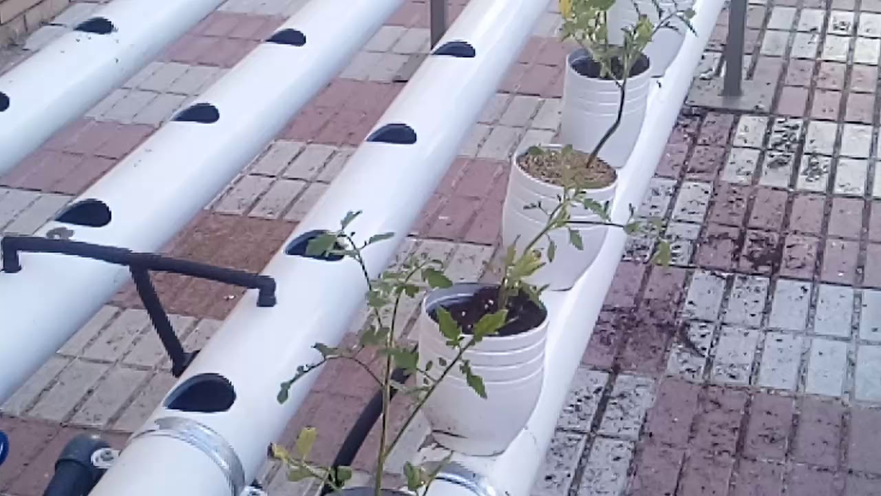 Huerto hidroponico escolar - YouTube