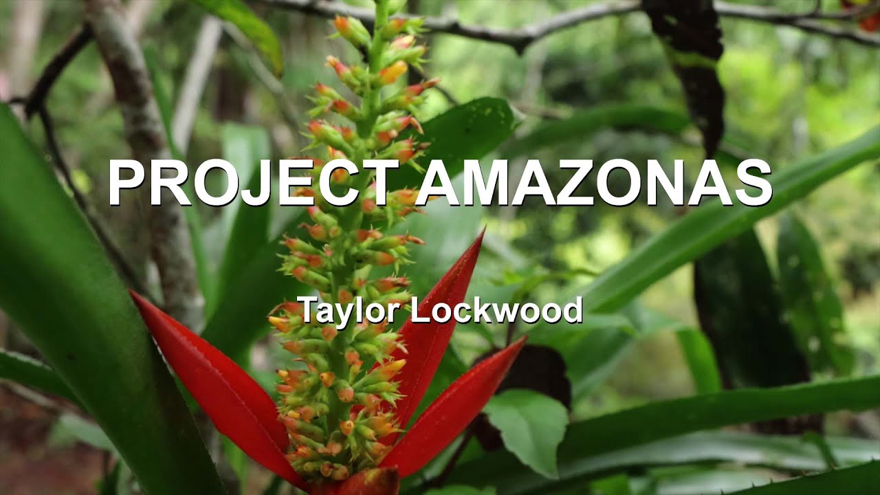 Project Amazonas -- Taylor Lockwood - YouTube