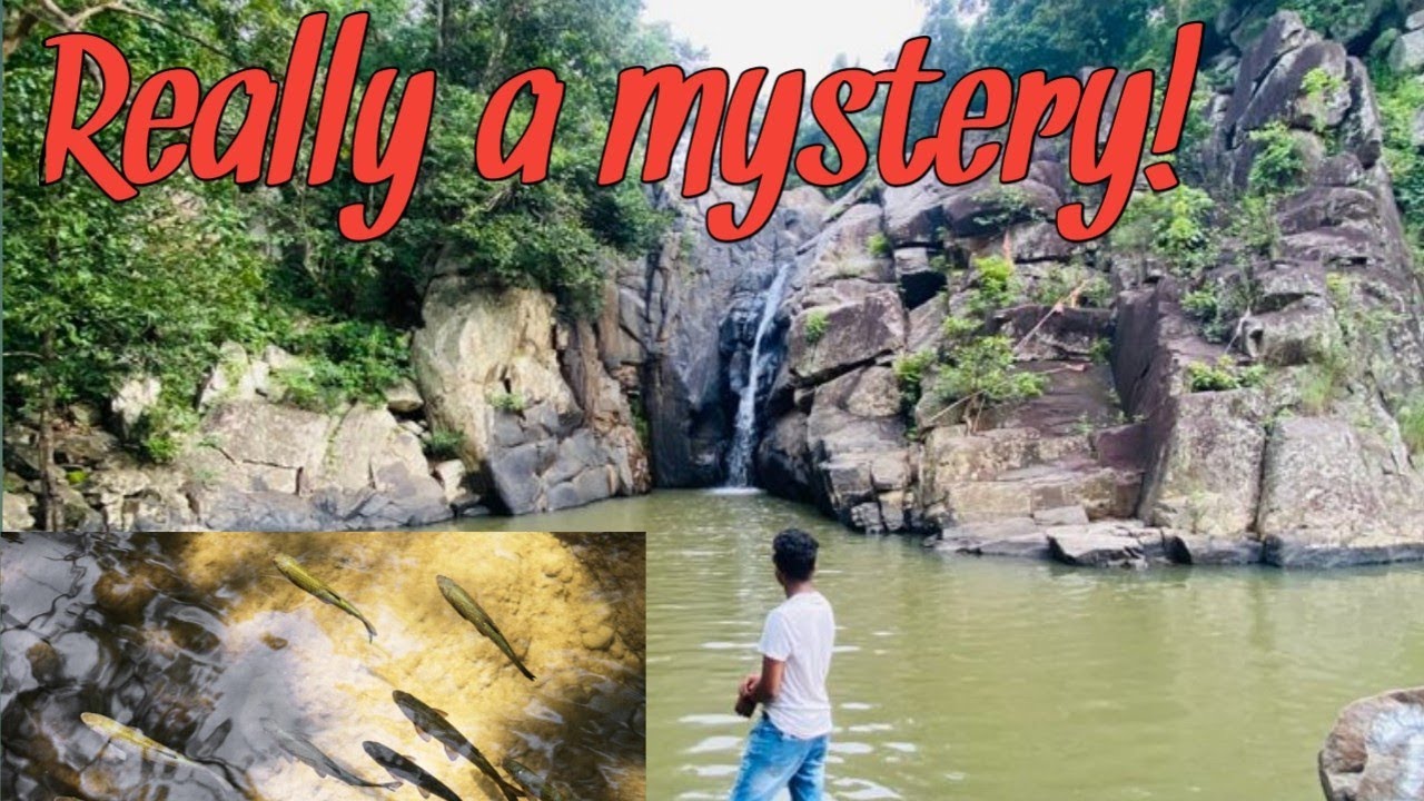 A mysterious Katramala waterfall with lots of fishes but no body eat ...