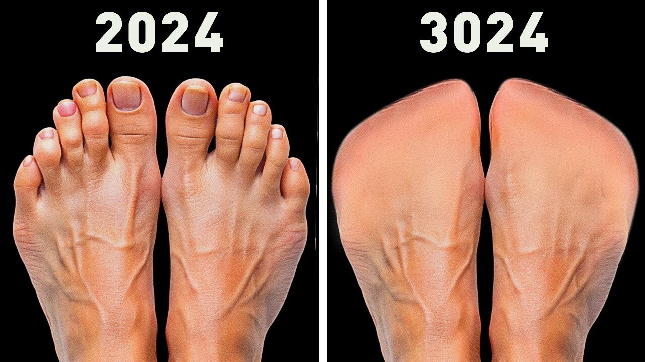 Evolution of Human Feet: Toeless Feet and Future Body Changes - YouTube