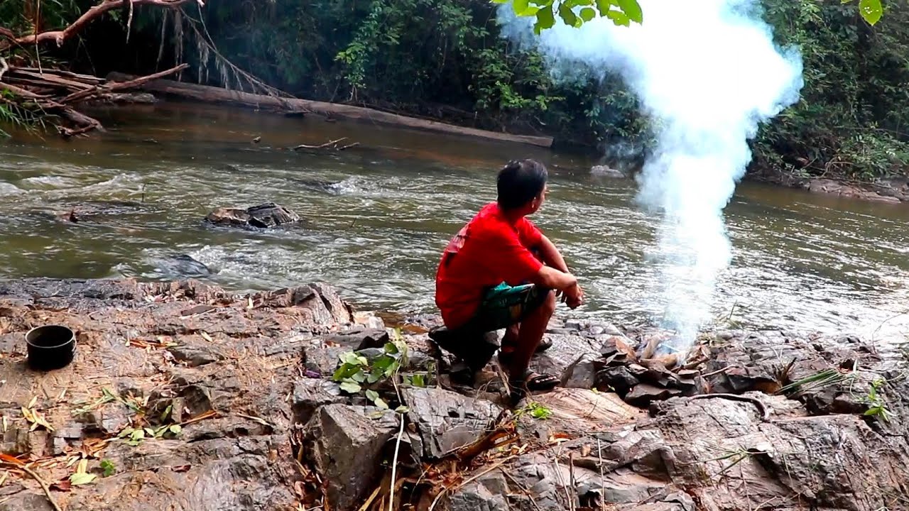 Camping in forest and cooking Natural, cooking in forest, Adventure ...