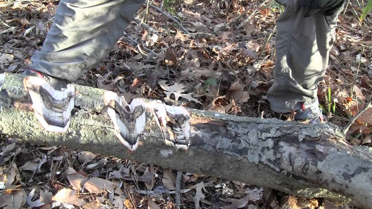 Busse Special Forces Natural Outlaw (SFNO) (Close-up) (HD) - YouTube