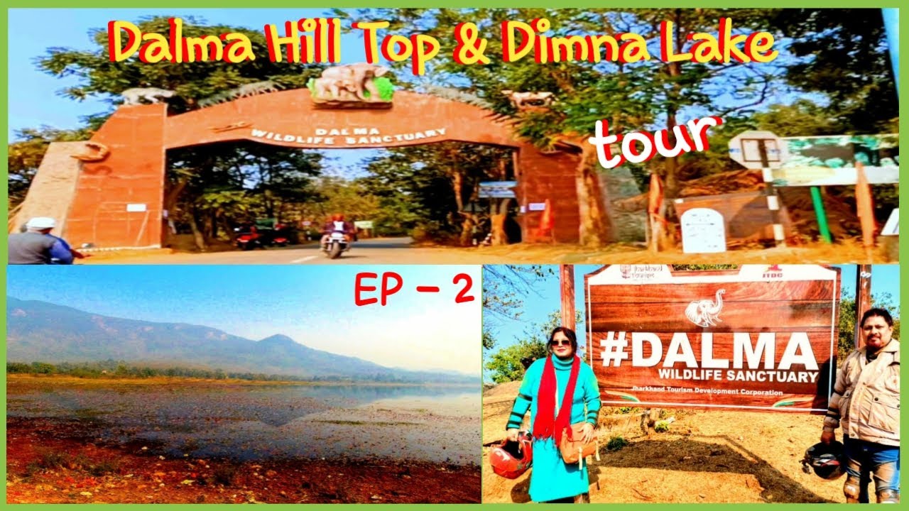 Dalma Wildlife Sanctuary and Dimna Lake tour/Jharkhand Tour/One Night ...