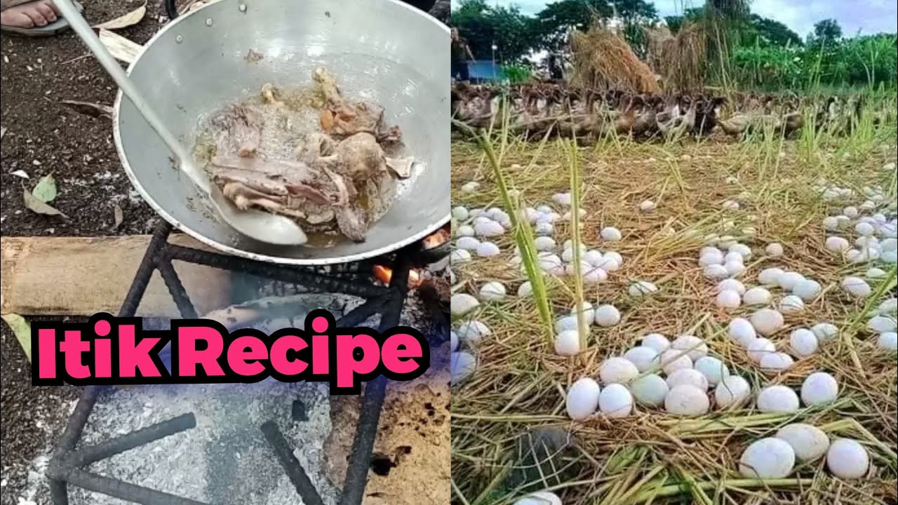 Fried Itik recipe | Adobong Itik | Fried Itik - YouTube