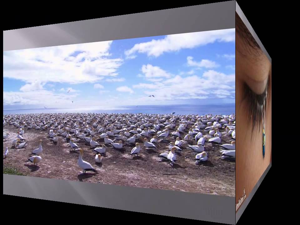 Ma Phyo Ma Ma - YouTube