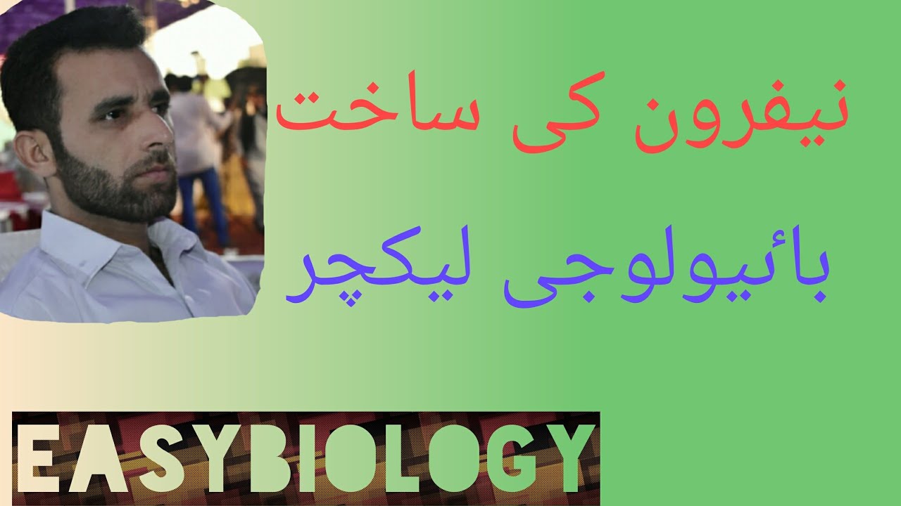 Structure of nephrone| biology| pre-medical | matric and fsc| easy ...