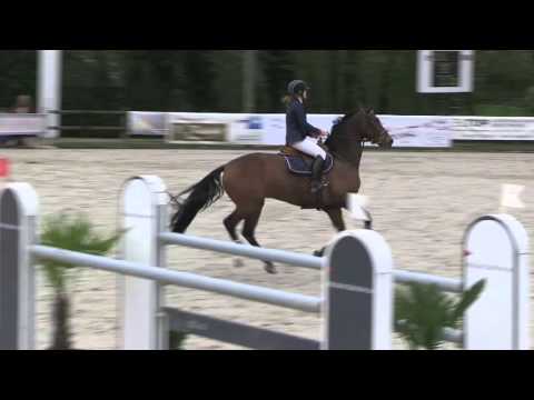 Calian B - R/N 135 La Pallanterie 2016 by Equimage