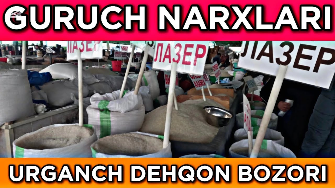 GURUCH NARXLARI | URGANCH DEHQON BOZORI 1.12.2024 - YouTube