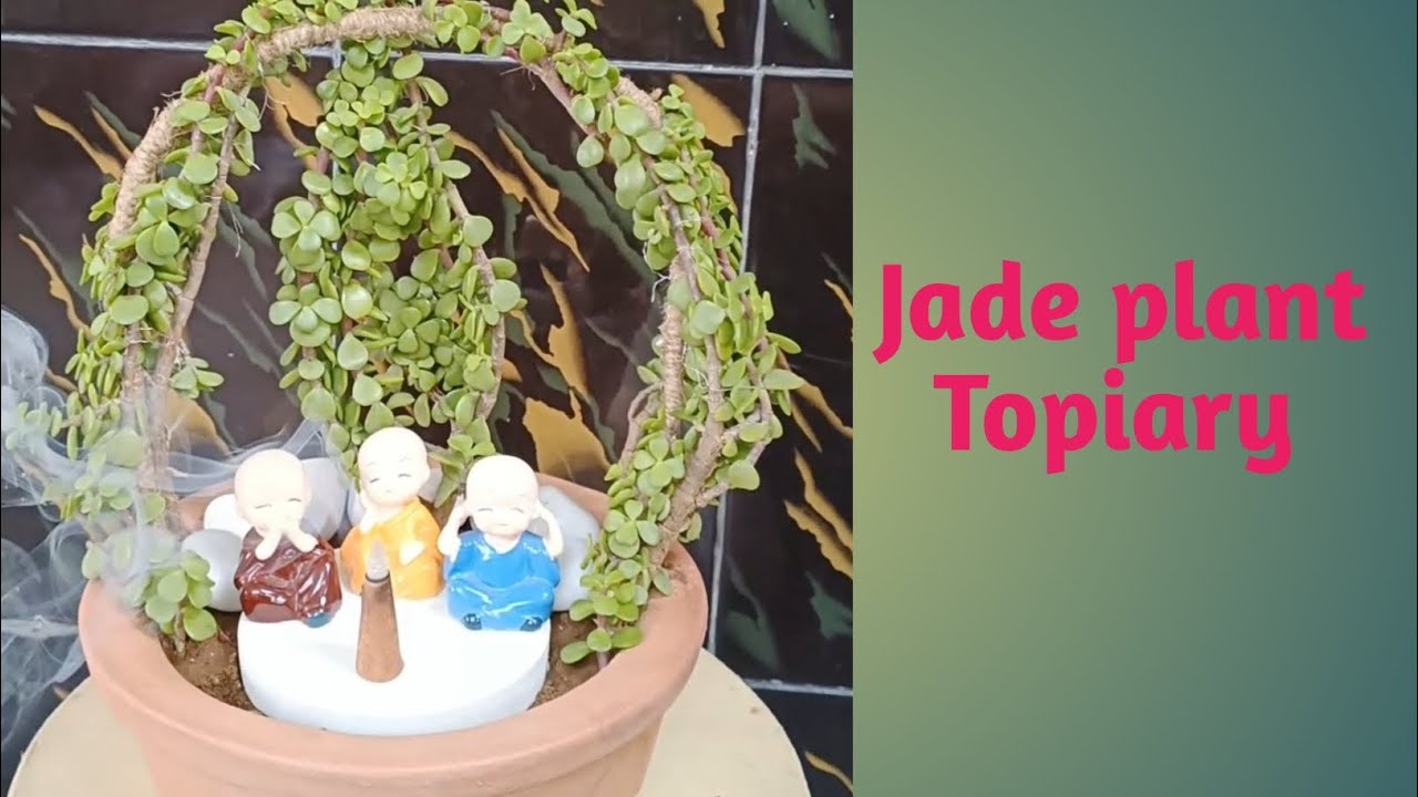 Jade plant Topiary | Miniature garden ideas | Balcony decor - YouTube