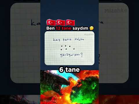 Ben 12 Saydım… Sen Kaç Tane Görüyorsun? 🤔