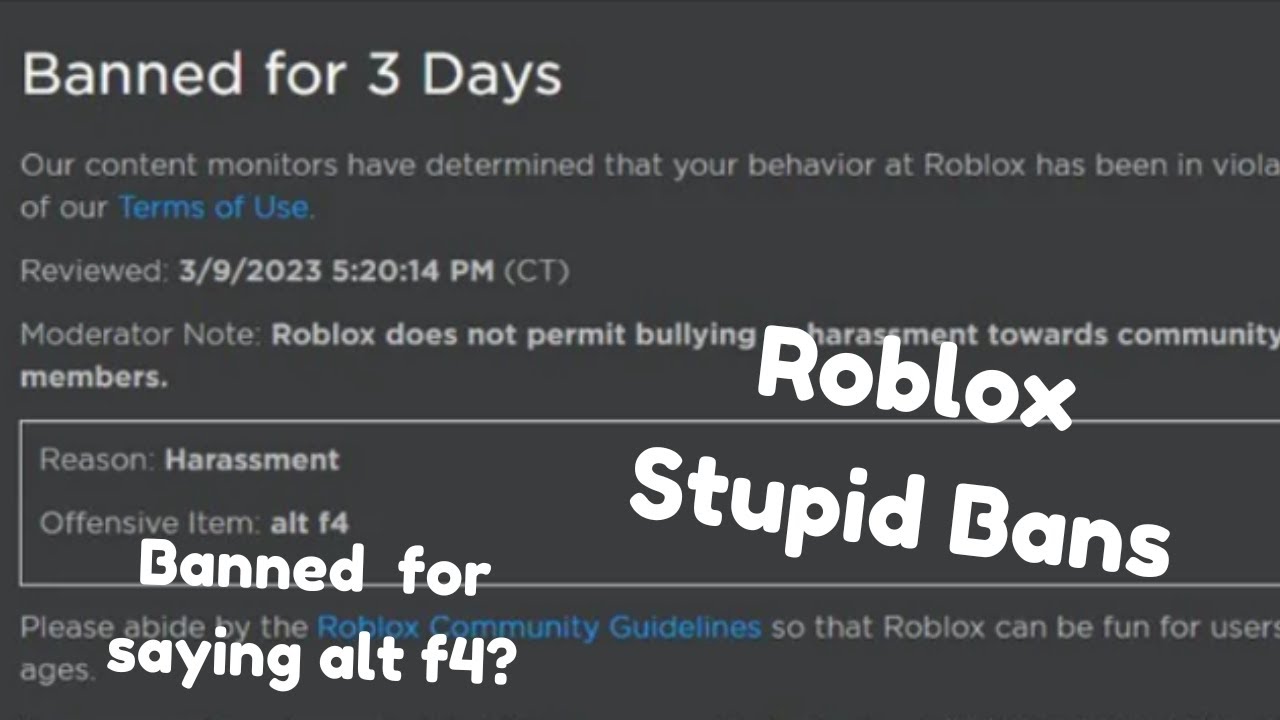 Stupid Roblox Bans | Part 3 | Roblox - YouTube