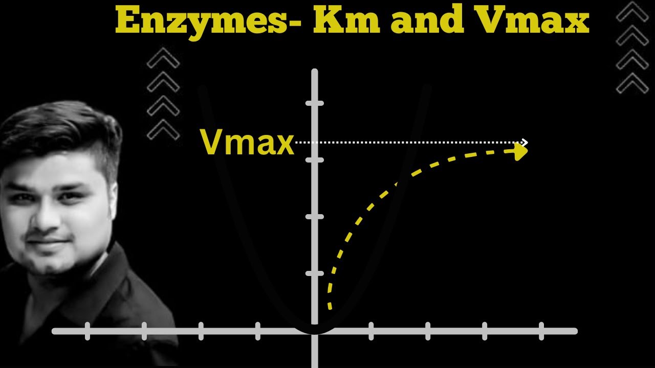 Enzymes- Km and Vmax l Biomolecules l Biology by KP Sir - YouTube