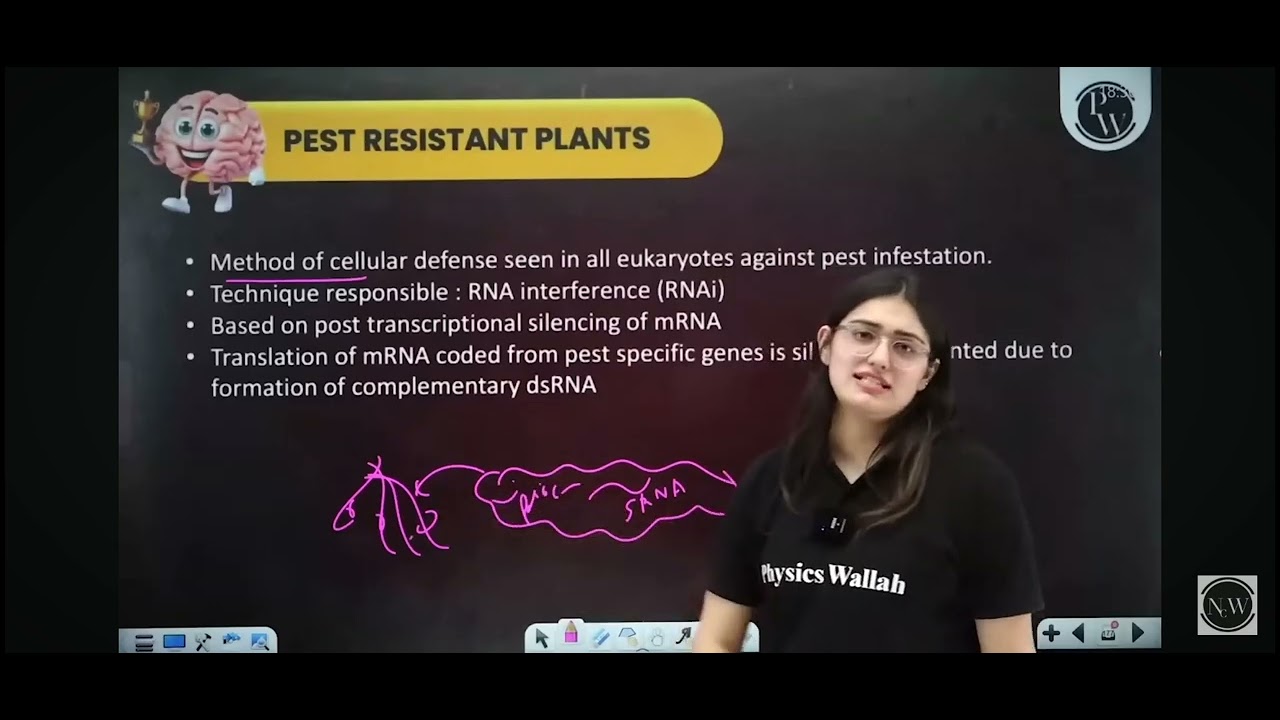 Biotechnology and its application one short revision - YouTube