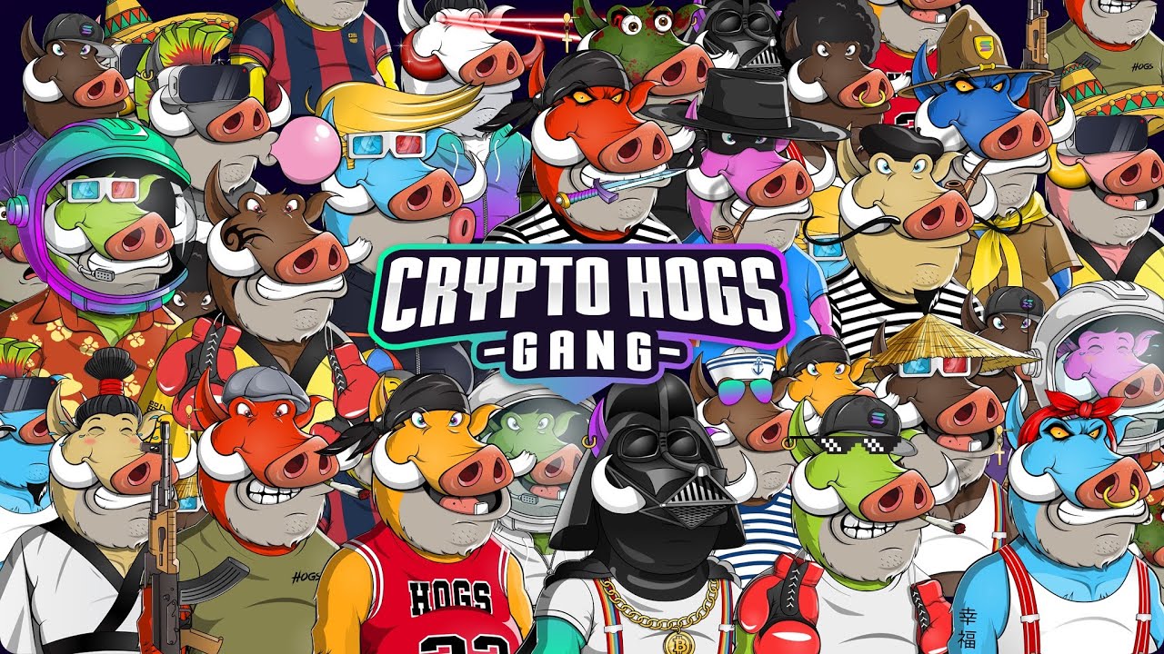 Who Let The Hogs out - YouTube