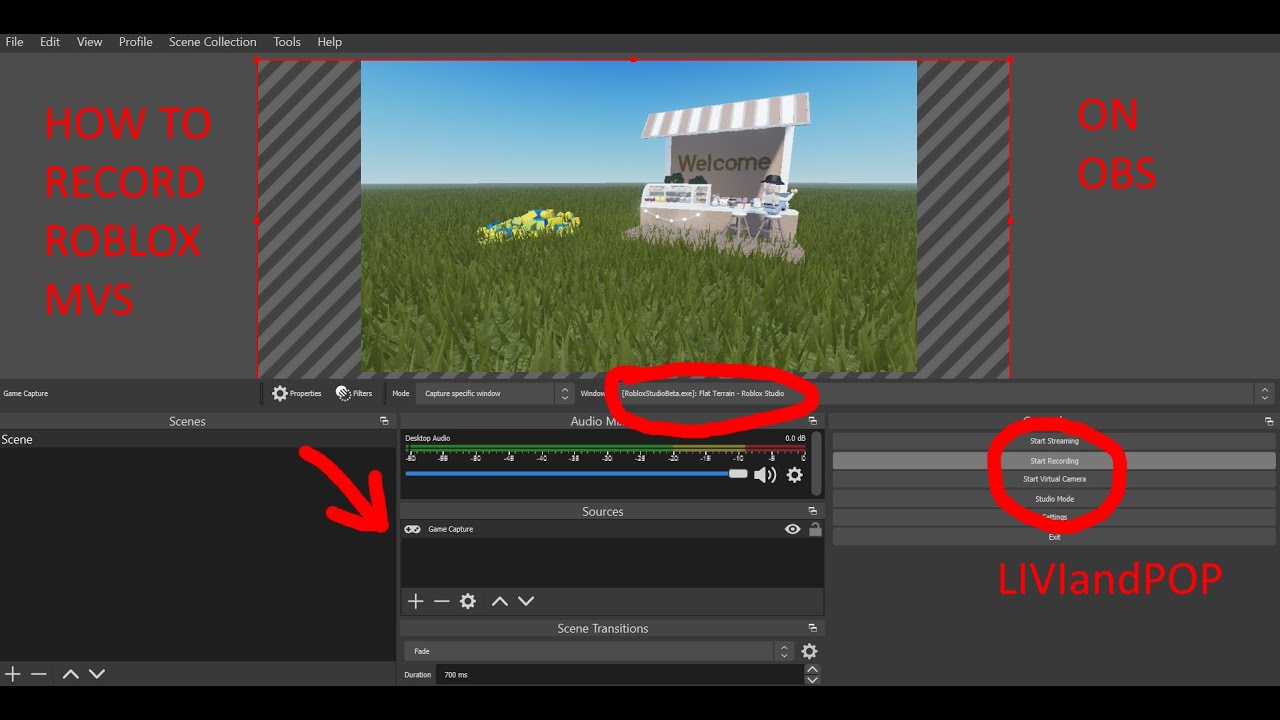 How to record Roblox animations with OBS - YouTube