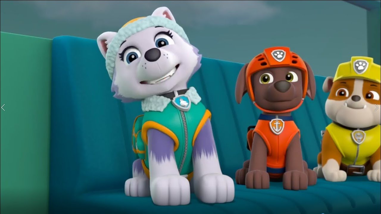 Paw Patrol Funny Moments, Best Animation Moments For Kids #5 - YouTube
