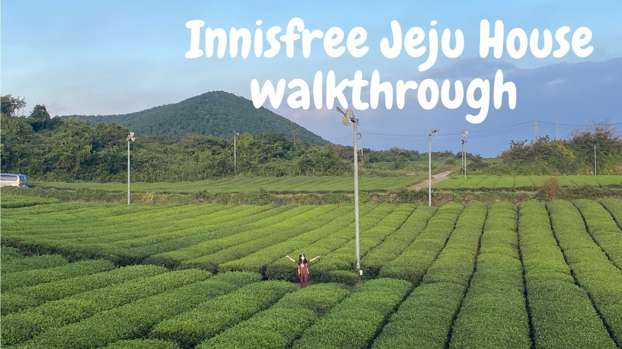 Jeju Innisfree House Walkthrough 2022 - YouTube