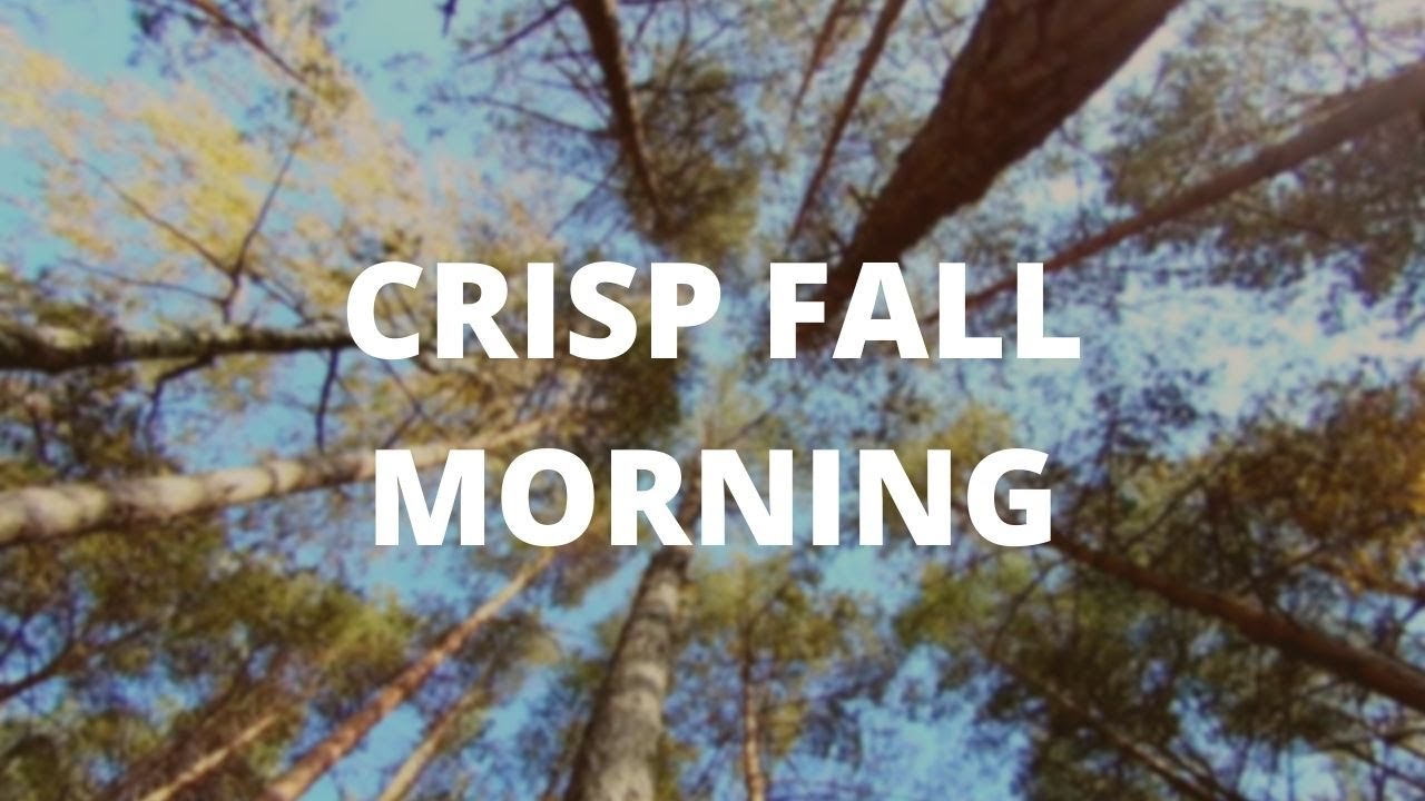 Crisp Fall Morning - ASMR Ambience - YouTube