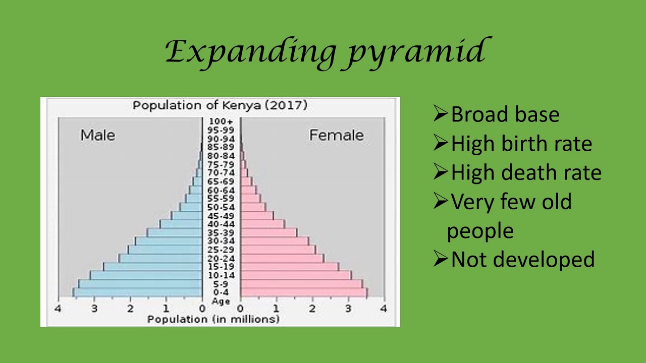 population pyramid class 8 - YouTube
