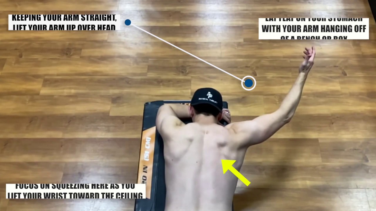 Lower Trapezius Prone Progression: Prone Y - YouTube