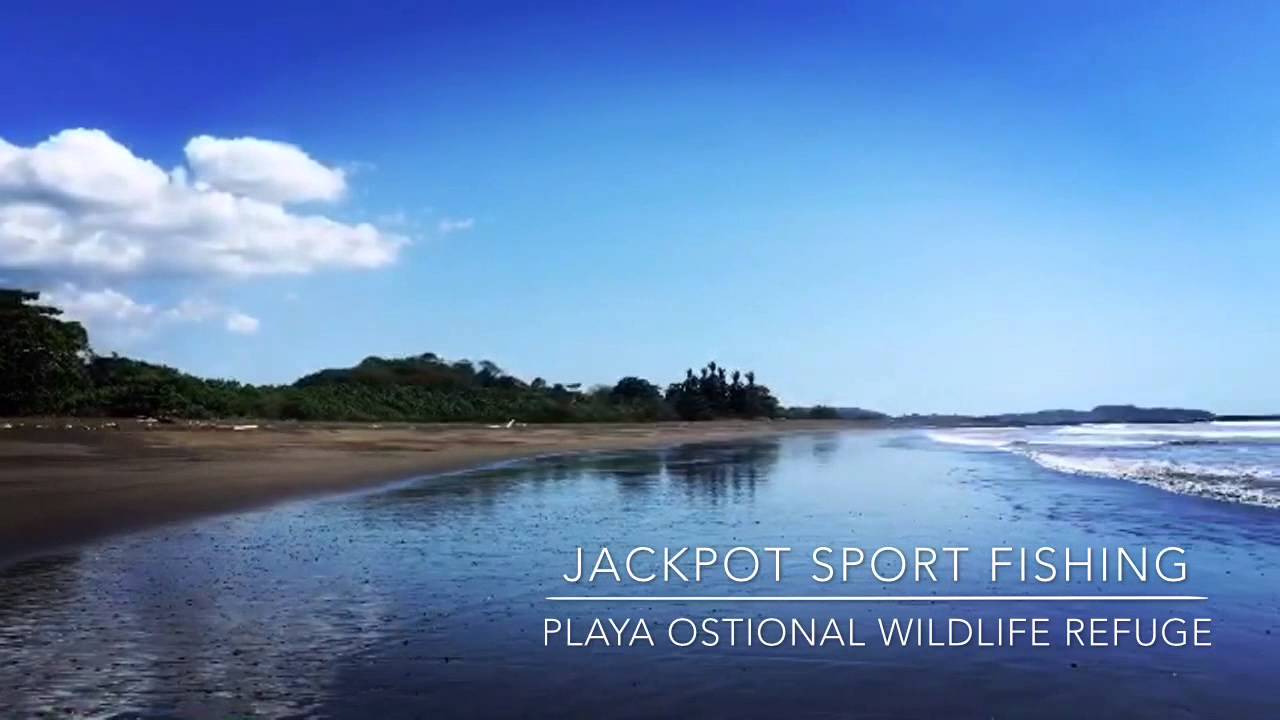 Turtle beach in Costa Rica - YouTube