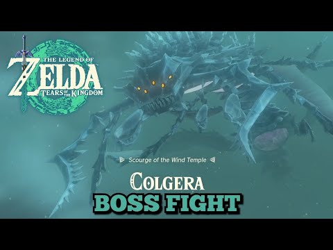 Colgera Boss Fight (No Damage) | The Legend of Zelda: Tears of The ...