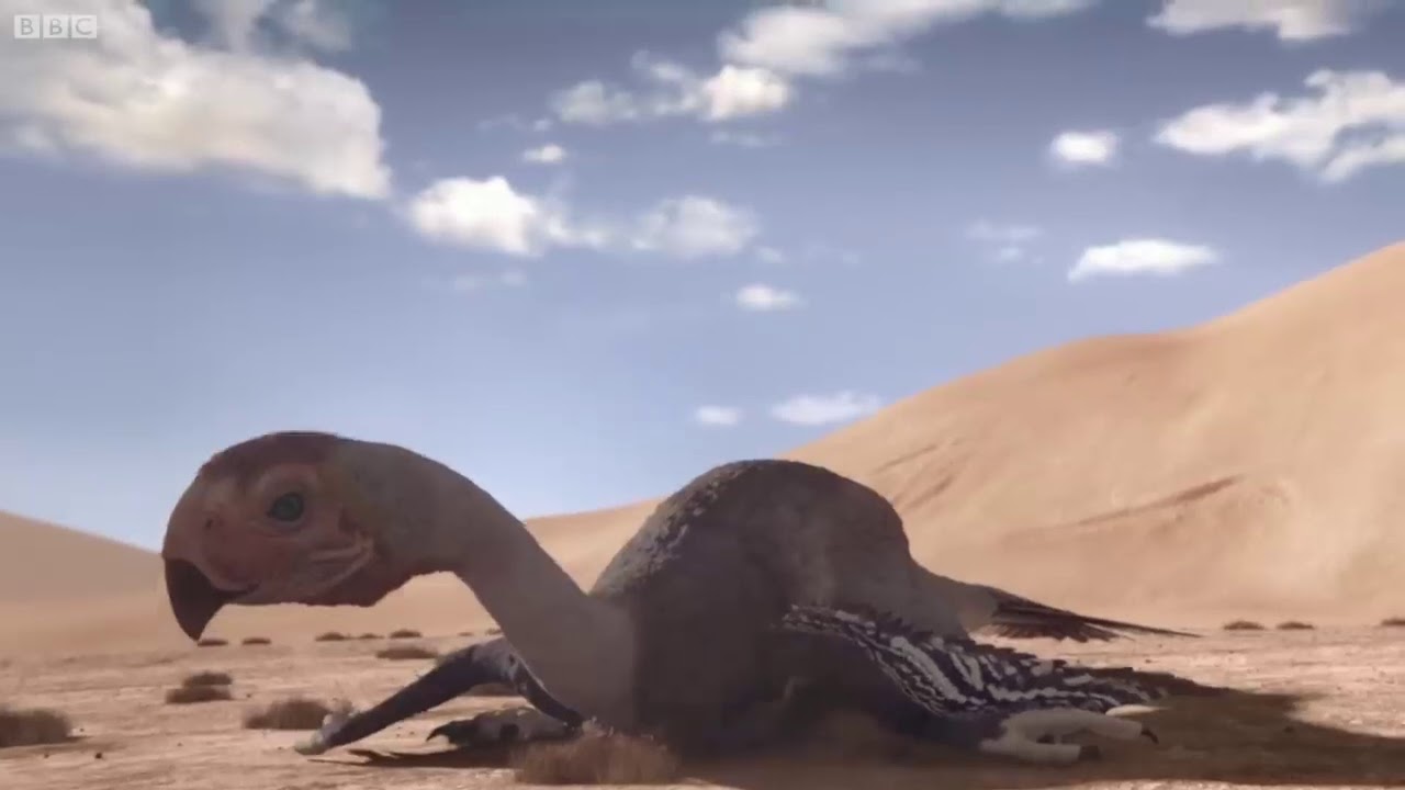 Oviraptorid Fights to Protect Nest - Planet Dinosaur - BBC Earth (1 ...