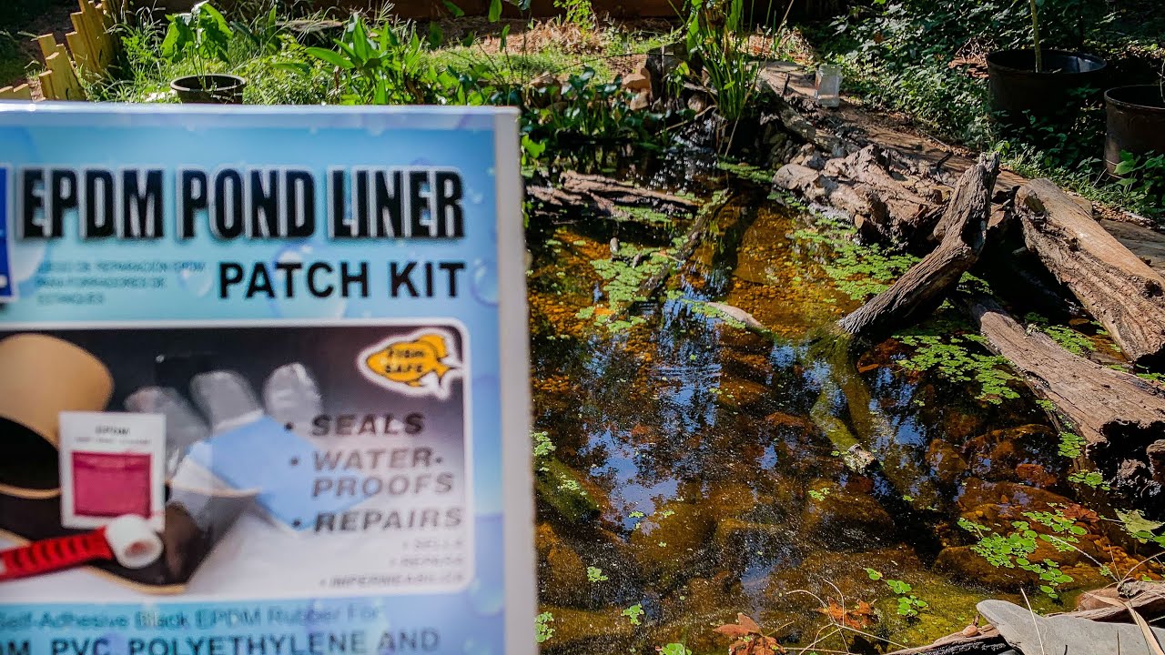 How to patch a HOLE in a pond liner, and renovating the alligator ...