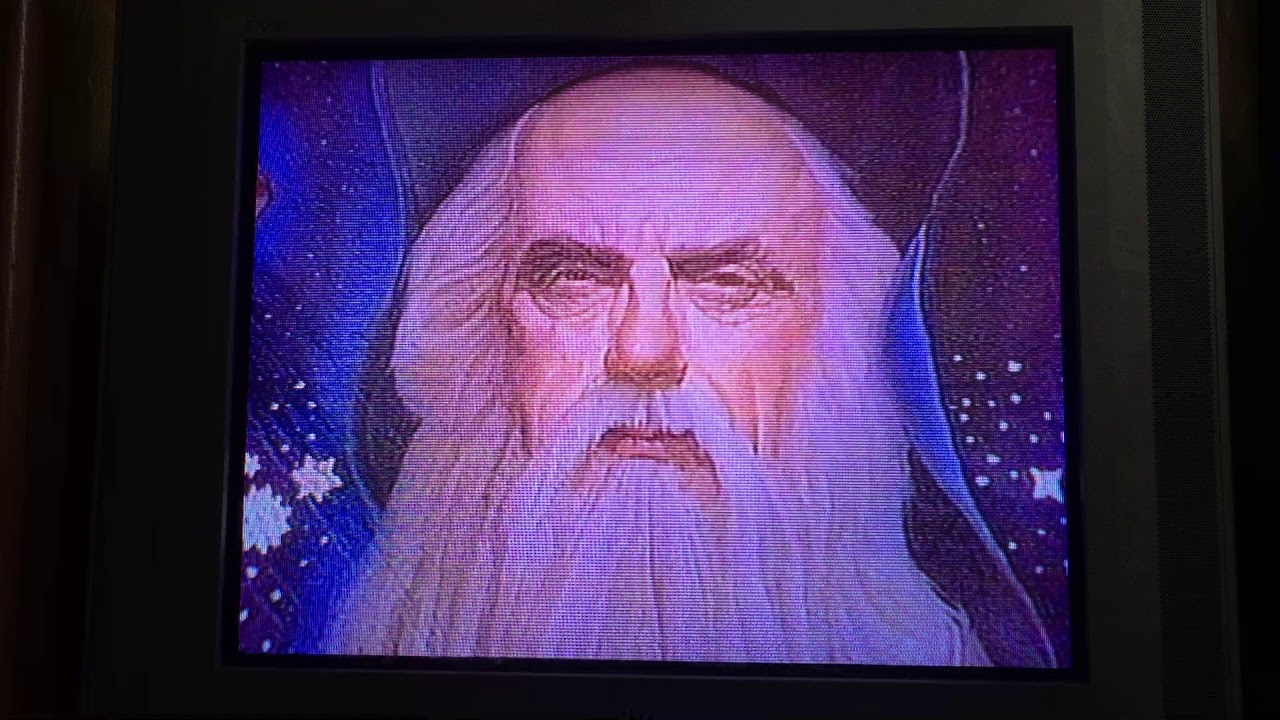 Opening To Once Upon A Forest 1993 VHS - YouTube