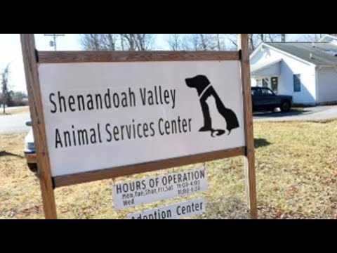Federal Lawsuit Filed Against Augusta County Animal Control Amidst ...