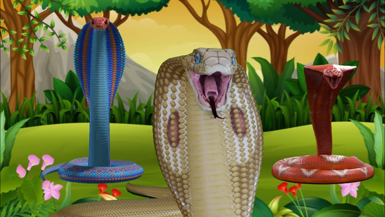 sneak video jangal video||स्नेक नाग खतरनाक वीडियो जंगल में#sneak # ...