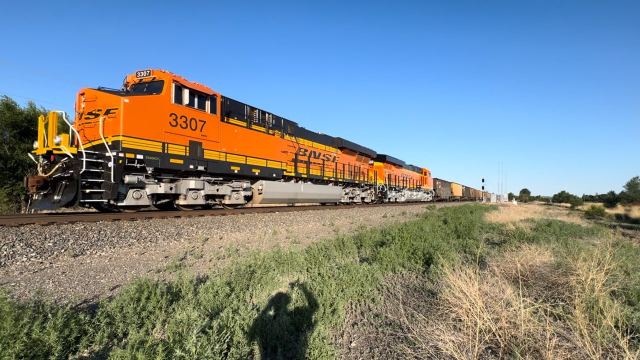 BNSF #3307 Lead’s The E-CRDNAM0-22D With More New ACH’S Unit’s 7/8/24 ...