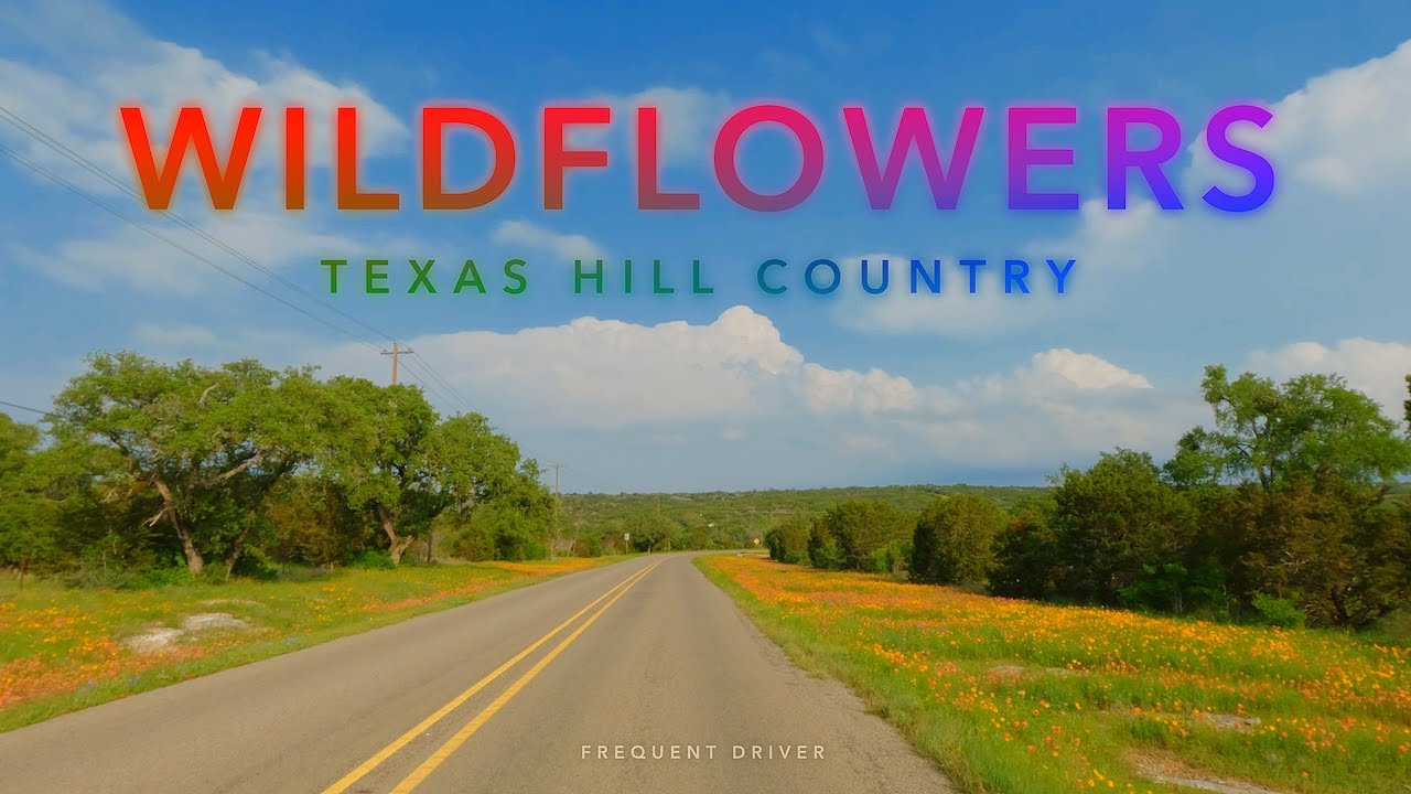Wildflowers - Driving Texas Hill Country | Immersive Ambient Sound | 4K ...