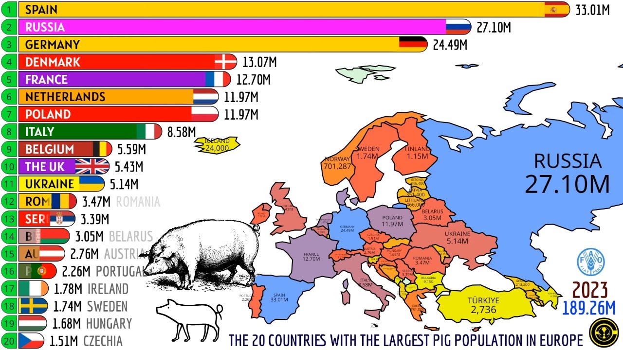 THE 20 COUNTRIES WITH THE LARGEST PIG POPULATION IN EUROPE - YouTube