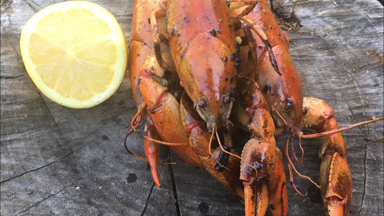 Ep. 34| BBQ Yabbies| Catch and Cook - YouTube